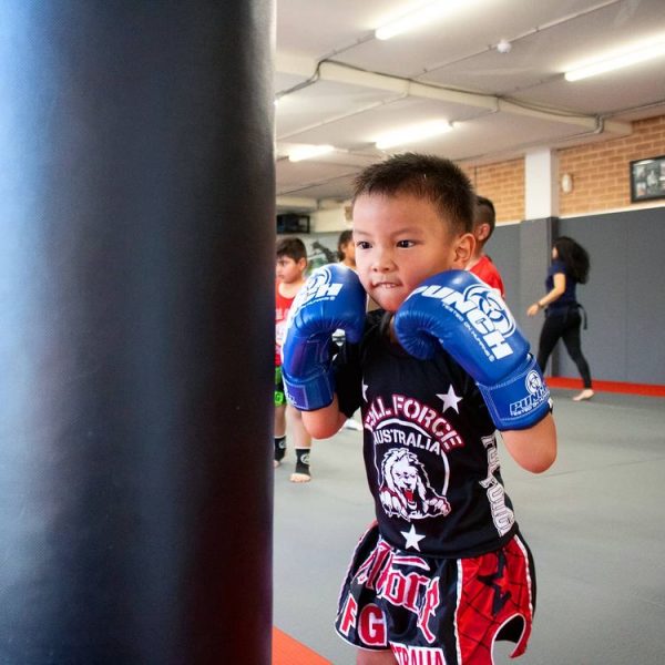 About - Full Force Gym - Kickboxing, Muay Thai, Boxing - Health and ...